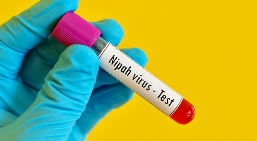 Nipah victim contact list test negative in Malappuram Nipah victim contact list test negative in Malappuram